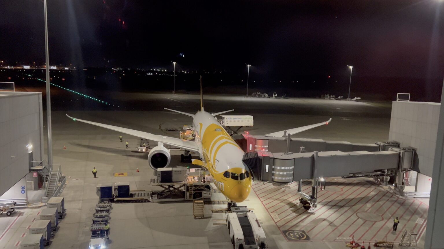 Scoot Perth to Singapore ScootPlus Boeing 787-9 Flight Review ...
